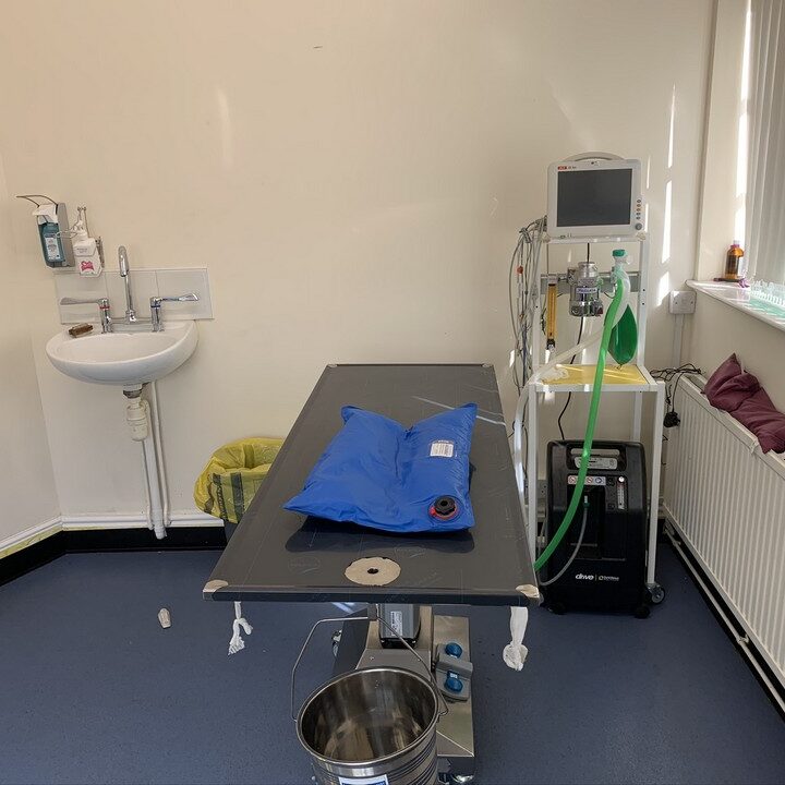 Copper Beech Vets – Veterinary surgeons Roe Lane