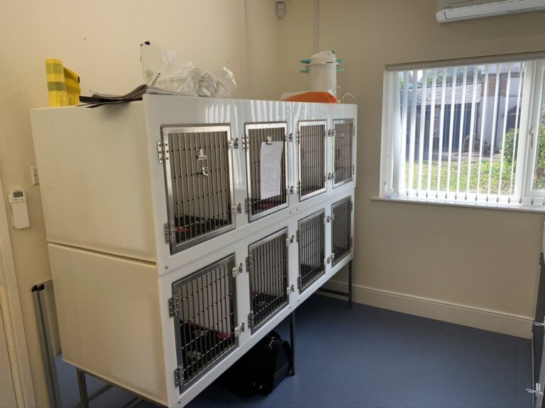 Copper Beech Vets – Veterinary surgeons Roe Lane